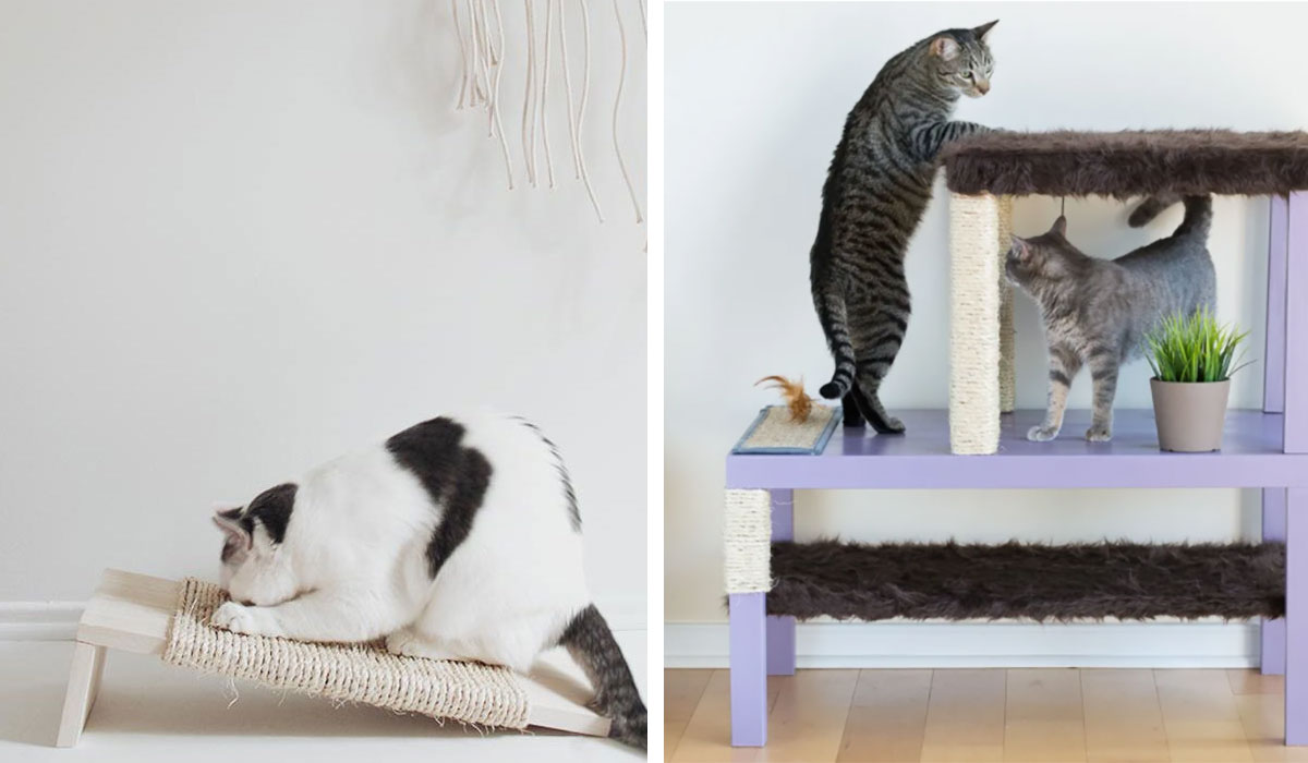 30 Cute DIY Ideas to Make for Your Cat - Teen Crafts